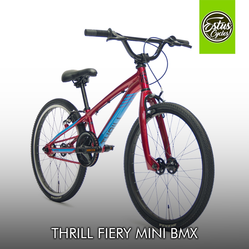 Jual Sepeda Thrill Fiery Mini BMX Race Ready Estus Cycles | Shopee ...