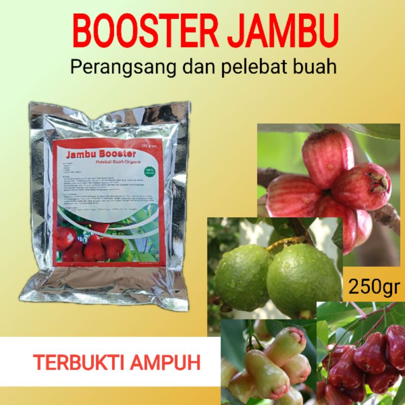 Jual pupuk jambu organik cepat berbuah lebat booster jambu paling ampuh untuk tanaman jambu air ...