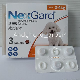 Jual NexGard S ( 2 - 4 Kg ) Obat Kutu Anjing Nex Gard ( Harga Per Tablet ) | Shopee Indonesia