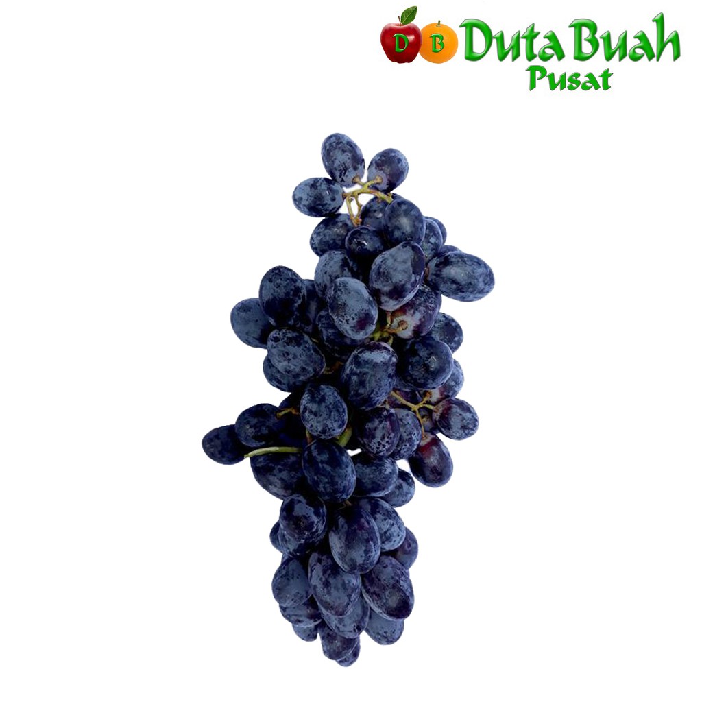 Jual DUTA BUAH Anggur Autum Royal USA(500G/pack) | Shopee Indonesia