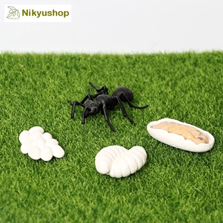 Jual [Nikyushop] Mainan Edukasi Siklus Hidup Hewan Animal Life Cycle ...