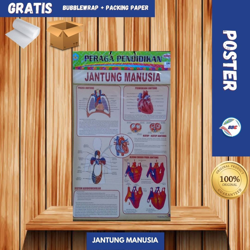 Jual POSTER EDUKASI JANTUNG MANUSIA | Shopee Indonesia