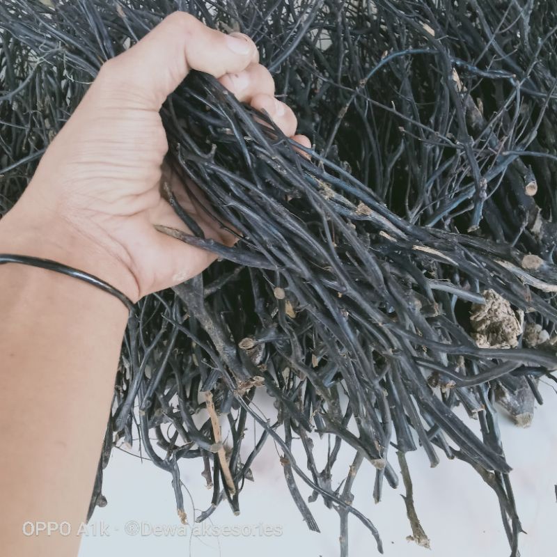 Jual Bahan akar bahar hitam size lidi up (isi 20 batang) | Shopee Indonesia