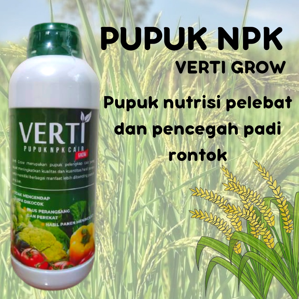 Jual Pupuk Padi Agar Panen Melimpah Verti Grow, Pupuk NPK Cair Ampuh Pemberat Padi | Shopee ...
