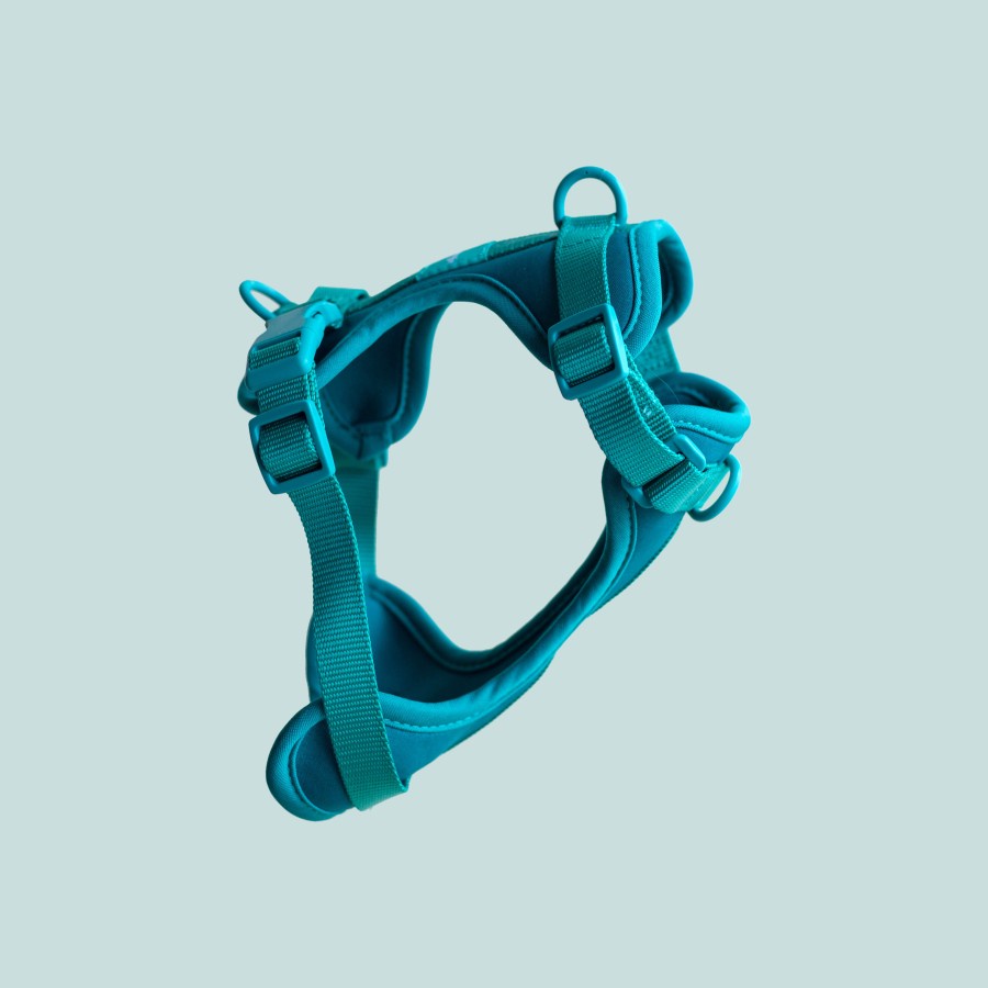 Jual DOUGIE Premium Dog Harness (TOSCA GREEN) | Shopee Indonesia