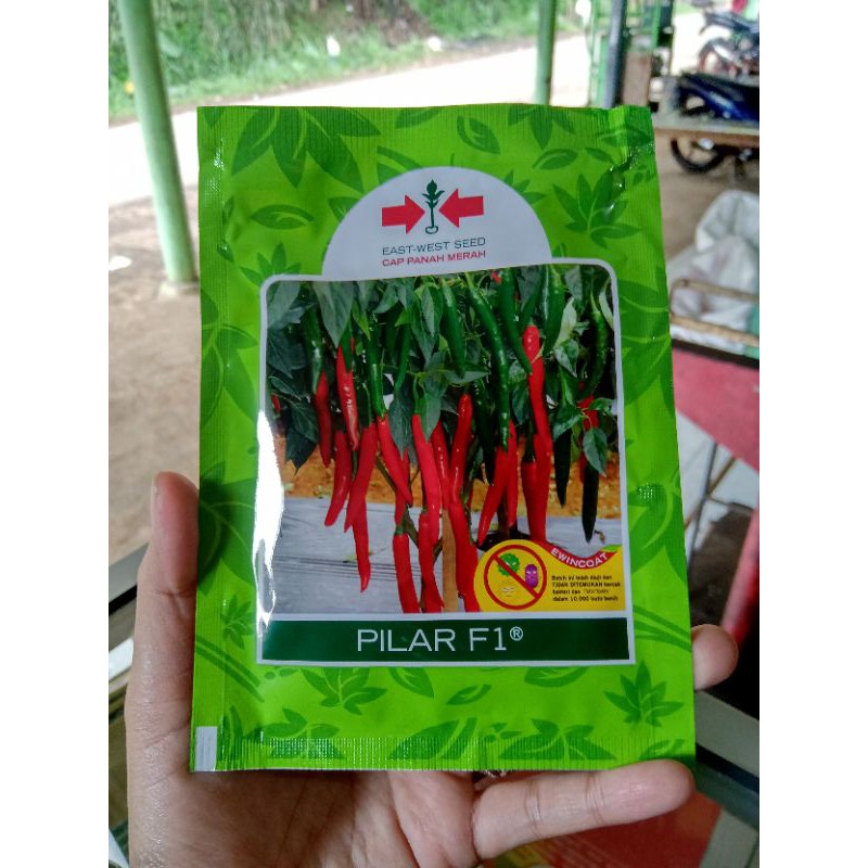 Jual Benih Cabe Cabai Merah Besar PILAR Cap Panah Merah isi 1.500 butir ...
