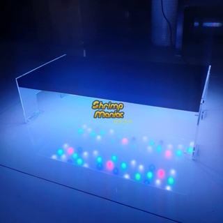 Jual Lampu LED HPL Aquascape ADA RGB Spectrum with Carbon Sticker ...