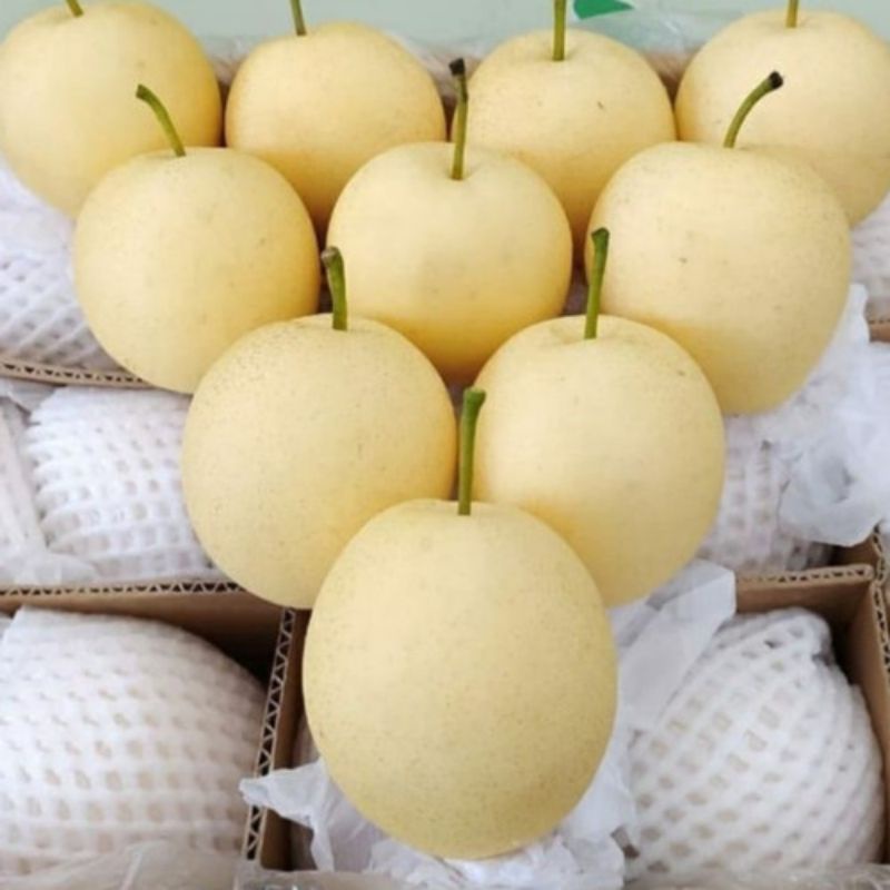 Jual Buah Pear Century Besar 1kg | Shopee Indonesia