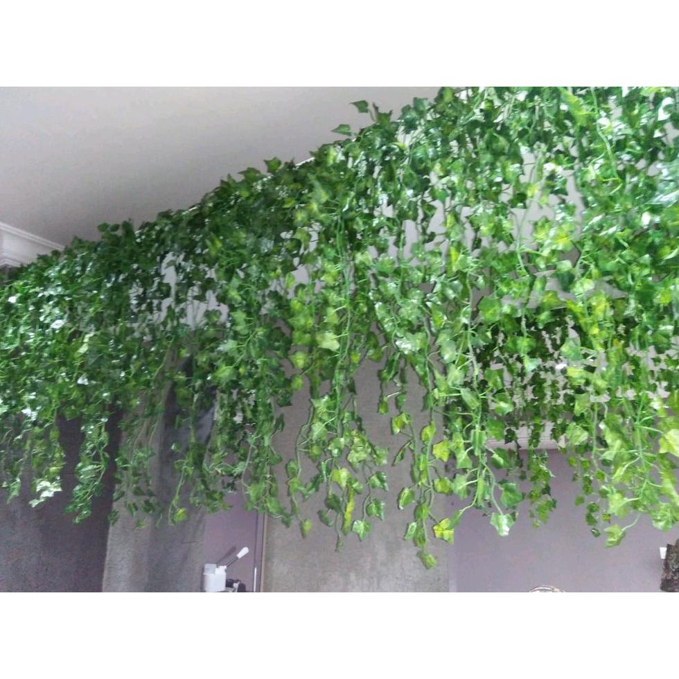 Jual TERLARIS !! Tanaman rambat tembok sintetis daun anggur - taman ...