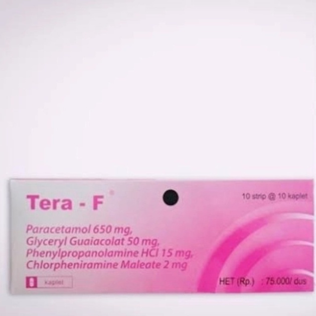 Jual Tera F Box Isi 100 Kaplet | Shopee Indonesia
