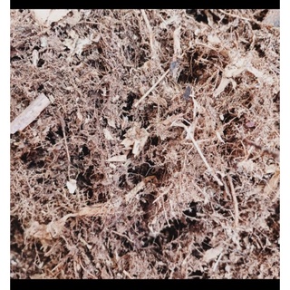 Jual Humus akar bambu, humus organik murni, super subur,metan premium ...