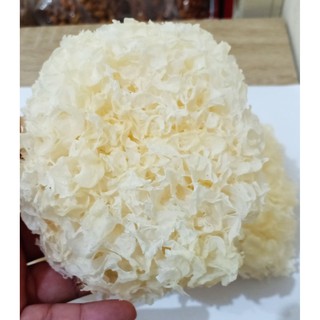 Jamur Salju / Jamur Es / Snow White Fungus / Yin Er / Bai Mu Er 31 gram ...