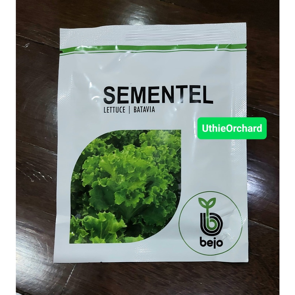 Jual Benih Bejo Seed - Selada Batavia Sementel Kemasan 1000 pills ...