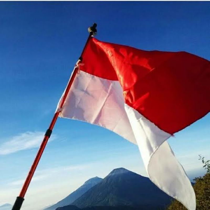 Jual (PROMO) BENDERA MERAH PUTIH JUMBO 135X90 MURAH / BENDERA PERSEGI ...