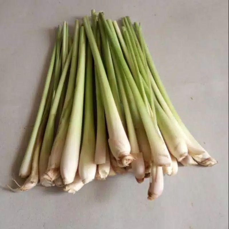 Jual Batang sereh sayur segar per 1 kg | Shopee Indonesia