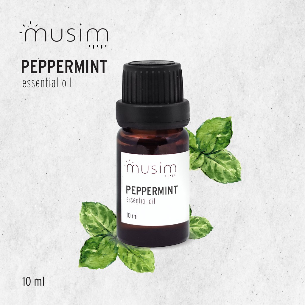Peppermint Essential Oil / Minyak Mint Aroma Terapi Pure 10ml - MUSIM | Shopee Indonesia