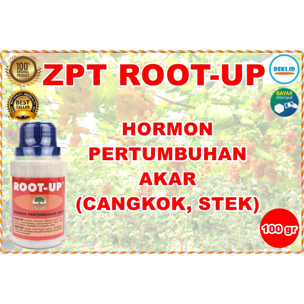 Jual Root Up 100 Gram Hormon Perangsang Pertumbuhan Akar Tanaman Stek ...
