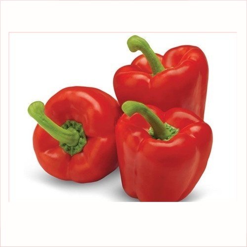 Jual Paprika Merah 500gr | Pasar Induk Pekanbaru #Harga_Grosir | Shopee ...
