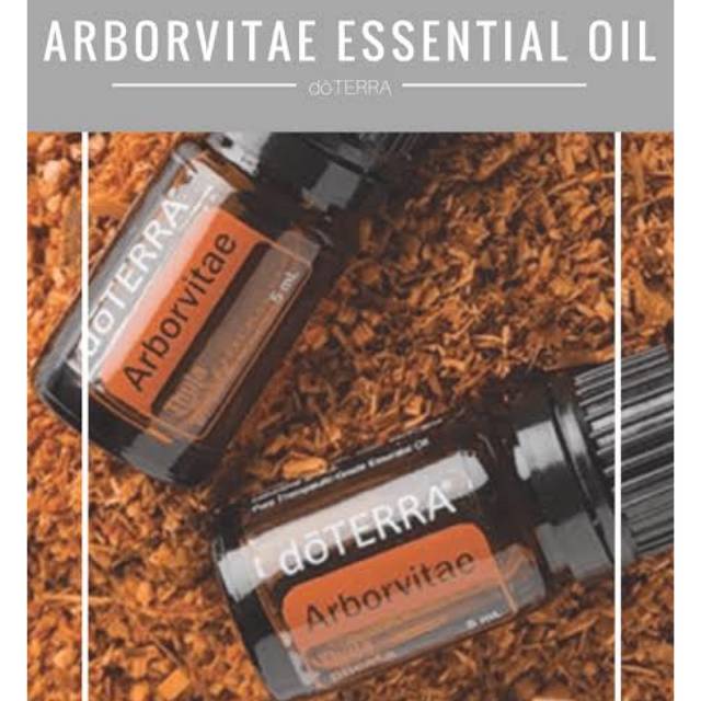 Jual Doterra Arborvitae essential oil 5ml Indonesia|Shopee Indonesia