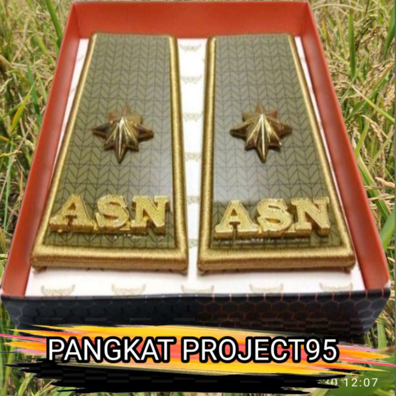 Jual PANGKAT ASN SUMSEL GOLONGAN 4C | Shopee Indonesia