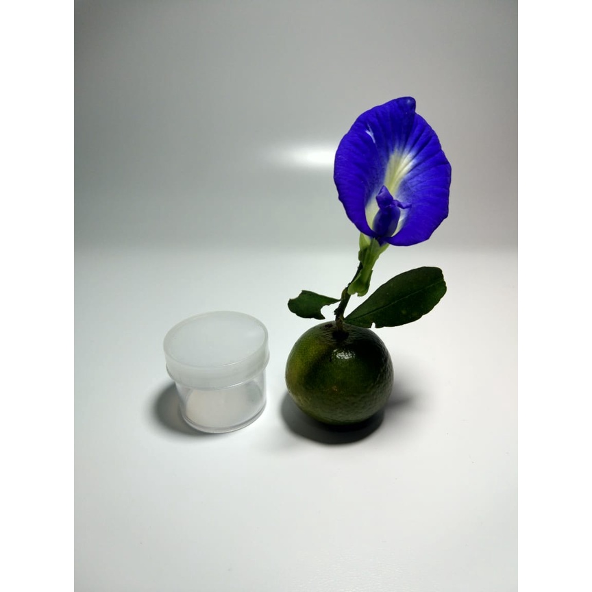 Jual BOTOL POT KOSONG BERBAGAI UKURAN | Shopee Indonesia