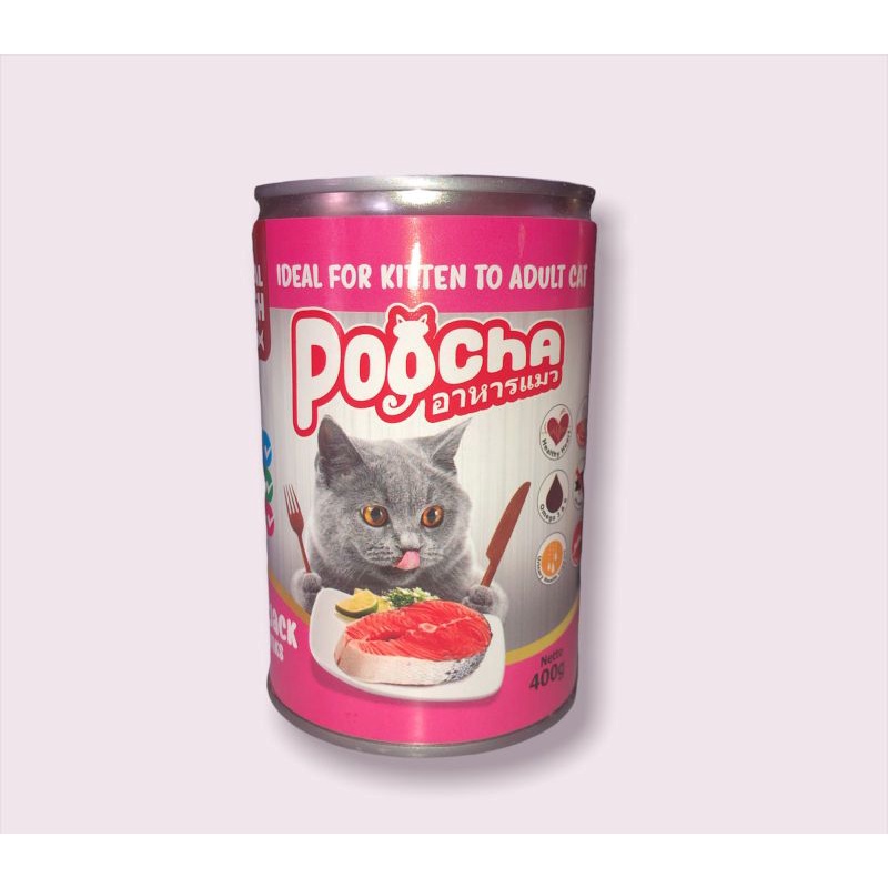 Harga Poocha Terbaru Juni 2024 |BigGo Indonesia