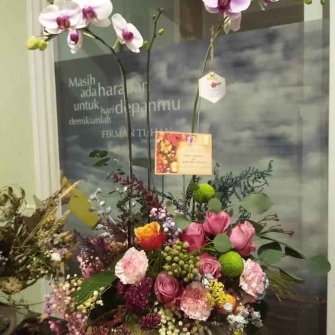 Bunga Meja Anggrek - 15 Bunga Online