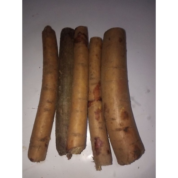 Jual akar tuba segar asli murni akar tuba 1kg | Shopee Indonesia