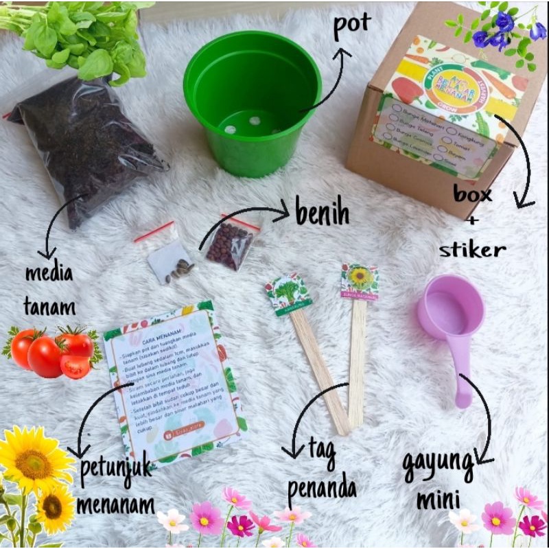 Jual Paket Berkebun Belajar Menanam Sayuran Bunga DIY Grow Kit Souvenir ...