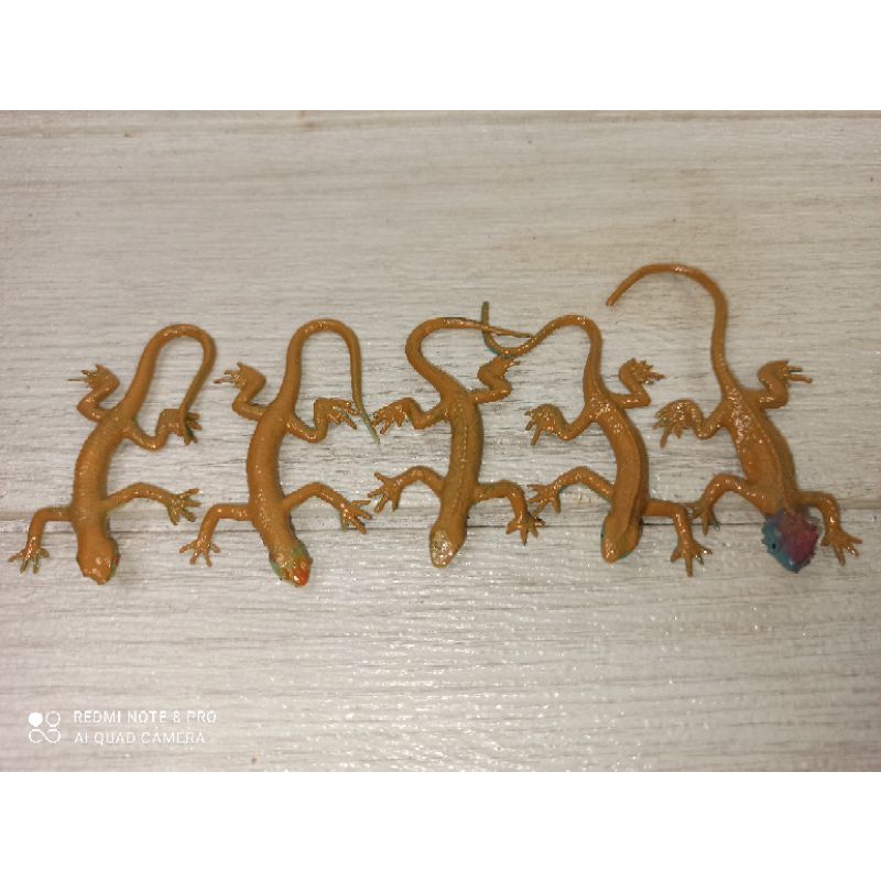 Jual mainan cicak reptil coklat mini satuan | Shopee Indonesia