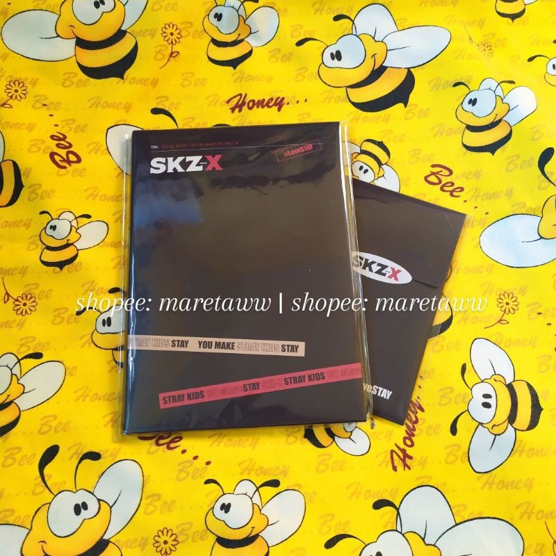 Jual SEALED PAPER FRAME & PHOTO SET SKZ-X LOVE STAY STRAY KIDS FULLSET ...