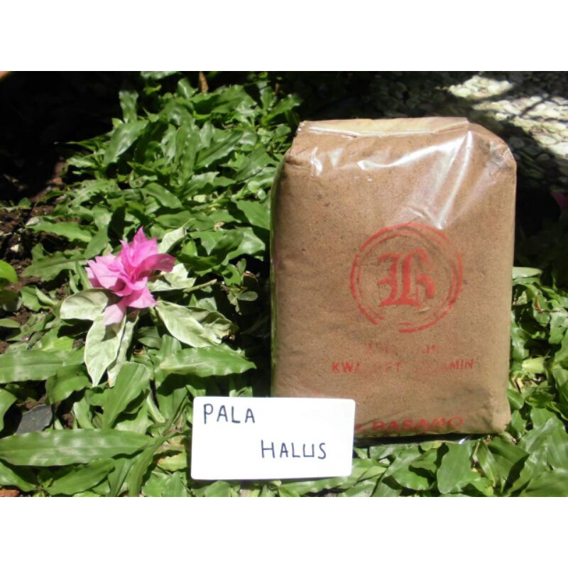 Jual PALA HALUS atau PALA BUBUK | Shopee Indonesia