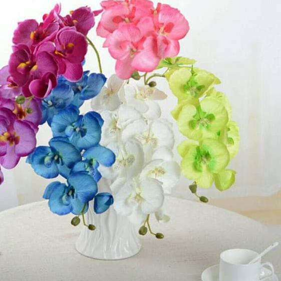 38+ Gambar Bunga Anggrek Warna Biru yang Lagi Ngetrend - Informasi ...