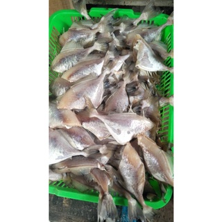Jual ikan togek asap | Shopee Indonesia