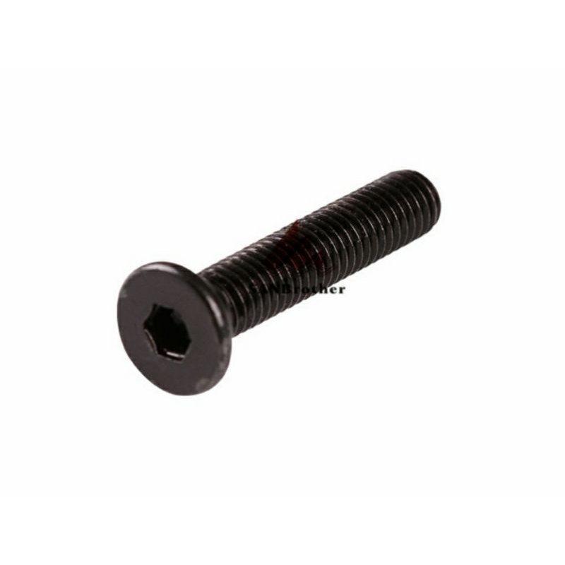 Jual Baut L Screw Low Profile Flat Head M5x15 M5 x 15mm | Shopee Indonesia