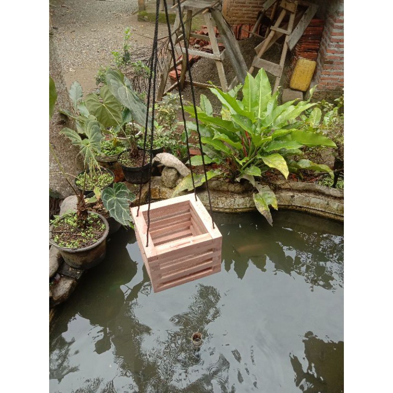 Jual pot anggrek gantung pot kayu pot anggrek diameter15x15cm Indonesia ...