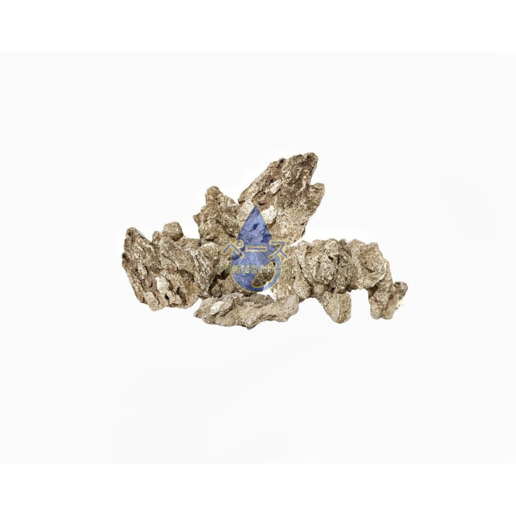 Jual BATU AQUASCAPE AQUARIUM BATU FOSSIL FOSIL BATU PASIR GRADE A 1KG ...