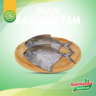 Jual Ikan Bawal Hitam Segar / Ikan Bawal Hitam Fresh 500 gr | Shopee ...