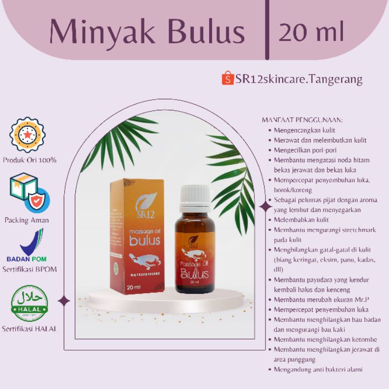 Jual ORIGINAL!! MINYAK BULUS SR12 / NO BAU AMIS / MASSAGE OIL BULUS ...