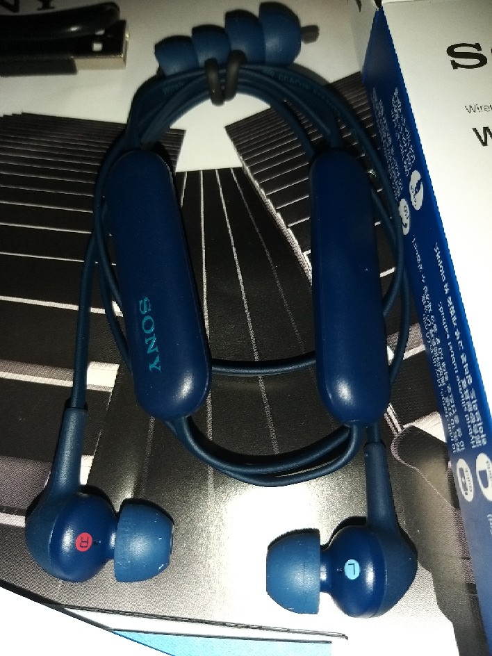 Sony Original WI-XB400 / WIXB400 / WI XB400 Blue EXTRA BASS Wireless In ...