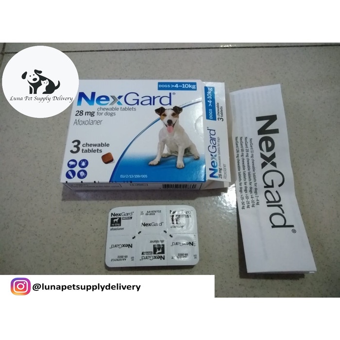 Jual Nexgard 4-10 kg Obat Kutu Anjing Kunyah / Chewable 1 Tablet | Shopee Indonesia