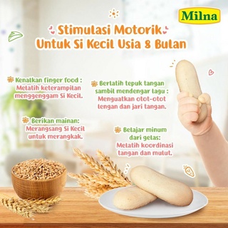 Jual MILNA Finger Biskuit Original/ Biskuit bayi - 52gr | Shopee Indonesia