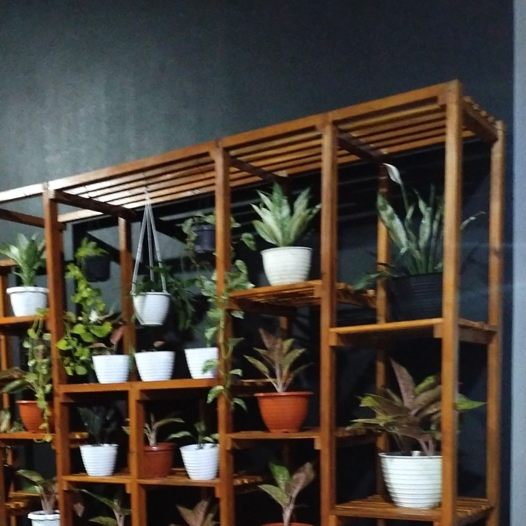 Produk AL GHANIYYU | Shopee Indonesia