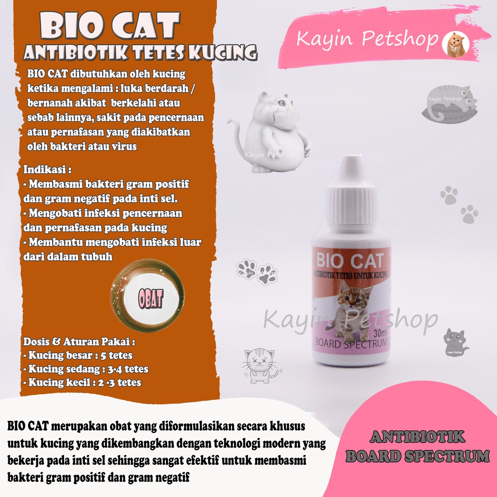 Jual BIO CAT 30ml - Antibiotik Tetes Untuk Kucing (membasmi bakteri ...