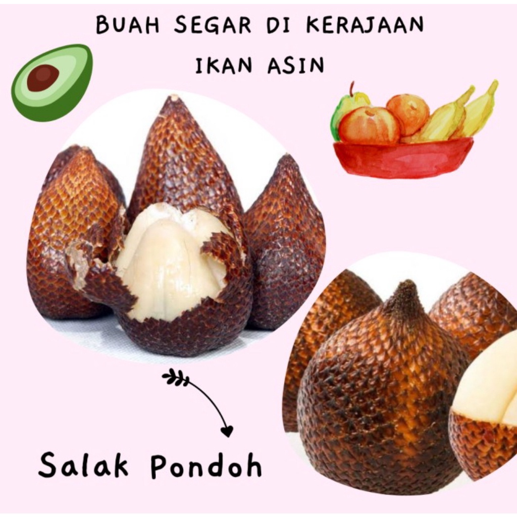 Jual SALAK PONDOH 1 KG | Shopee Indonesia