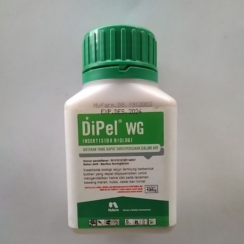 Jual Insektisida biologi DIPEL WG pembasmi hama ulat bawang merah,kubis ...