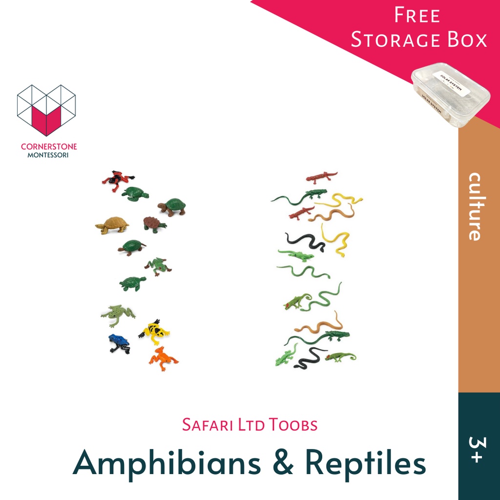 Jual Cornerstone Montessori Safari Ltd Toob Reptiles Amphibians Frogs ...