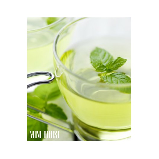 Jual BIJI BENIH BIBIT MINT HERBAL ISI 10 (PEPPERMINT) | Shopee Indonesia