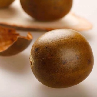 Jual LUCKYMALL BUAH LOHANKUO LO HAN KUO LO HAN GUO HERBAL ALAMI ASLI ...