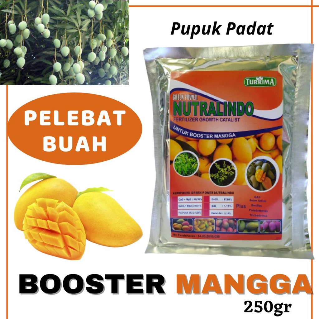 Jual Pupuk Organik Penyubur Mangga Irwin, Booster Mangga Agar Cepat ...